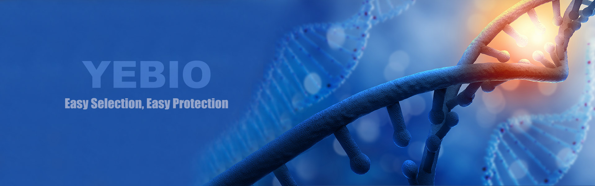 Products-YEBIO BIOENGINEERING CO., LTD OF QINGDAO